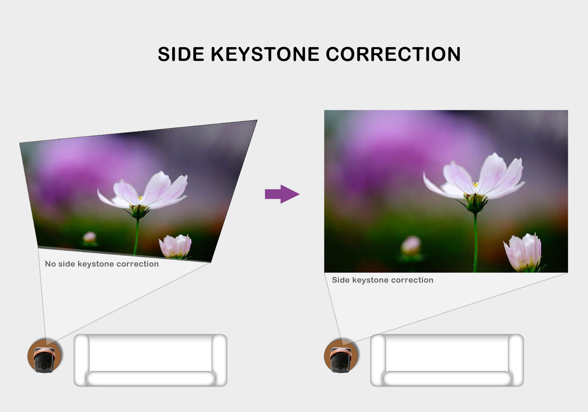 P-BOX – Texas Sonic