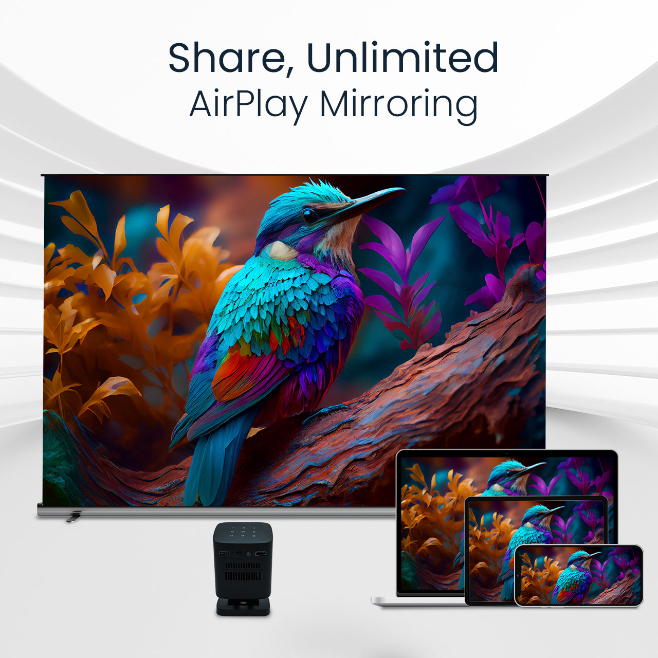 Mini 10 – Texas Sonic